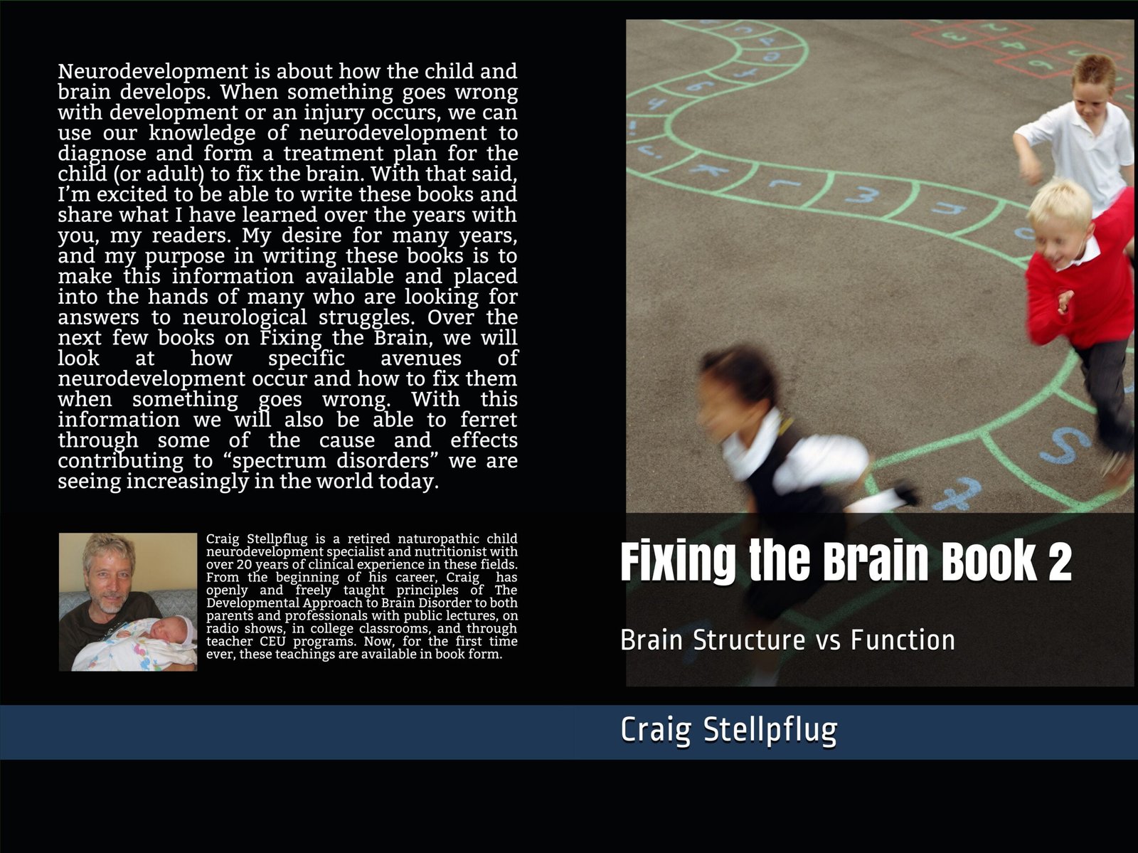 Fixing the Brain Book 2 - Craig Stellpflug